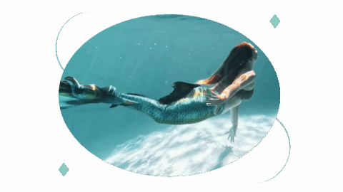 Séances mermaiding - Académie des Sirènes